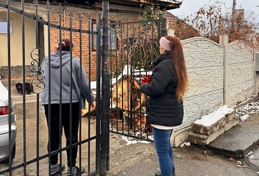 Recensământul câinilor cu stăpân din Târgu Jiu – zona Luncilor | Vertical